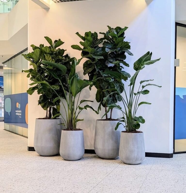 Plants at Work - Plants at Work