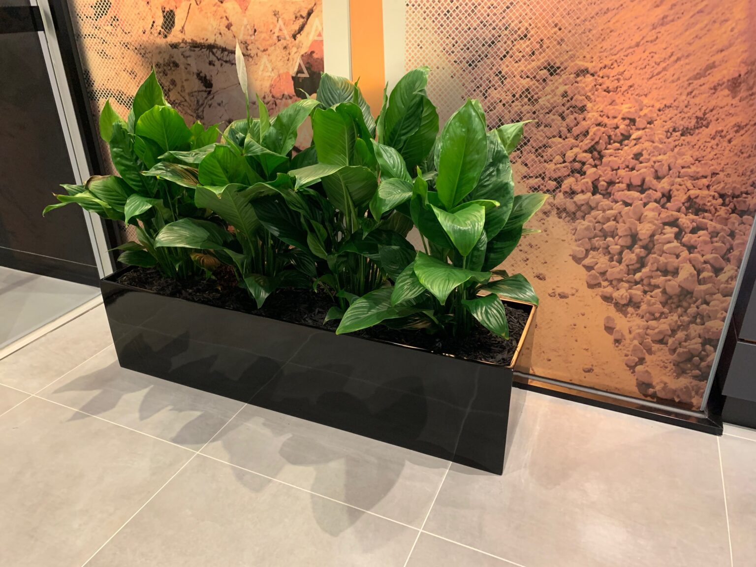 Plants at Work - Plants at Work