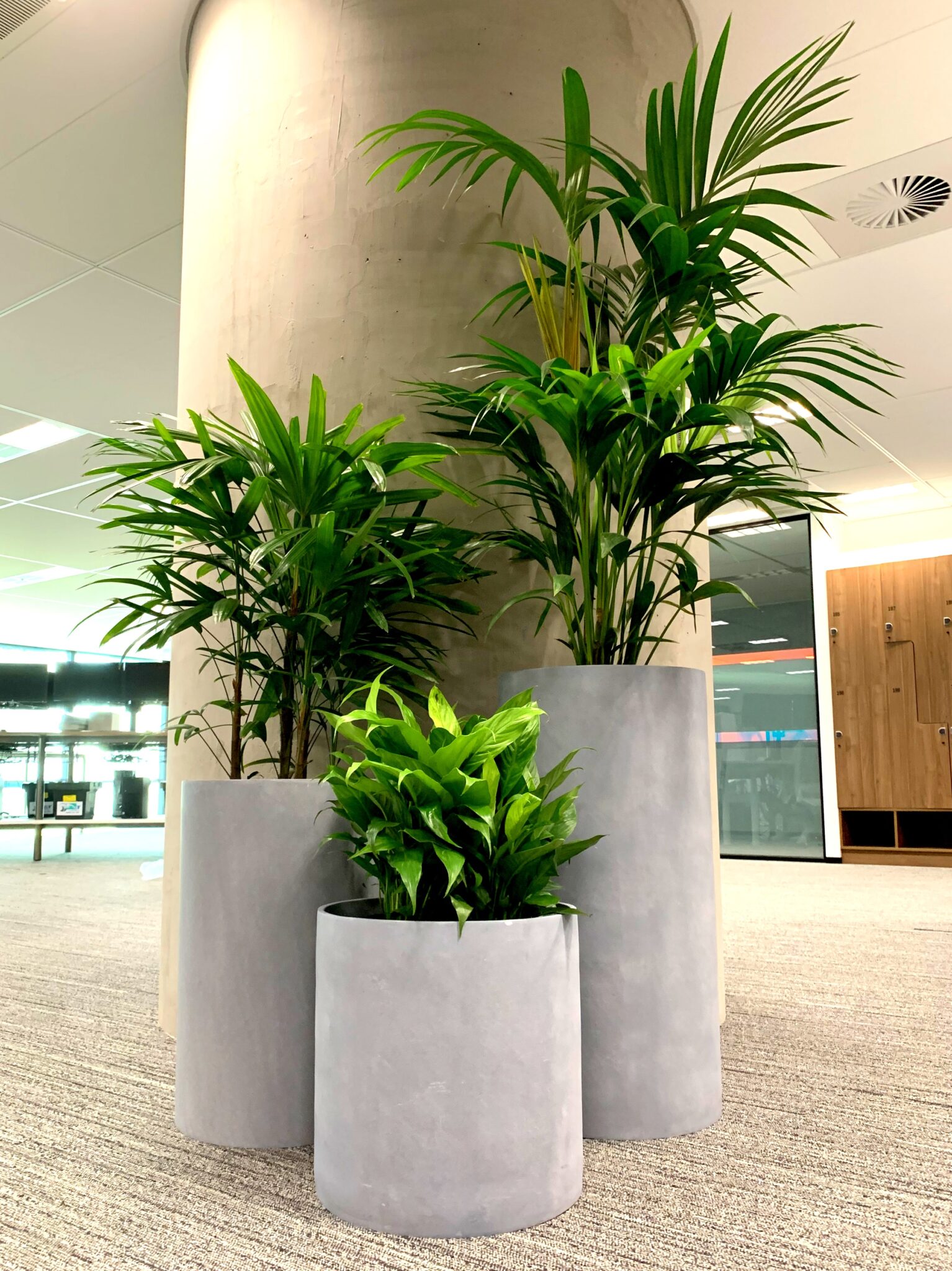 Plants at Work - Plants at Work