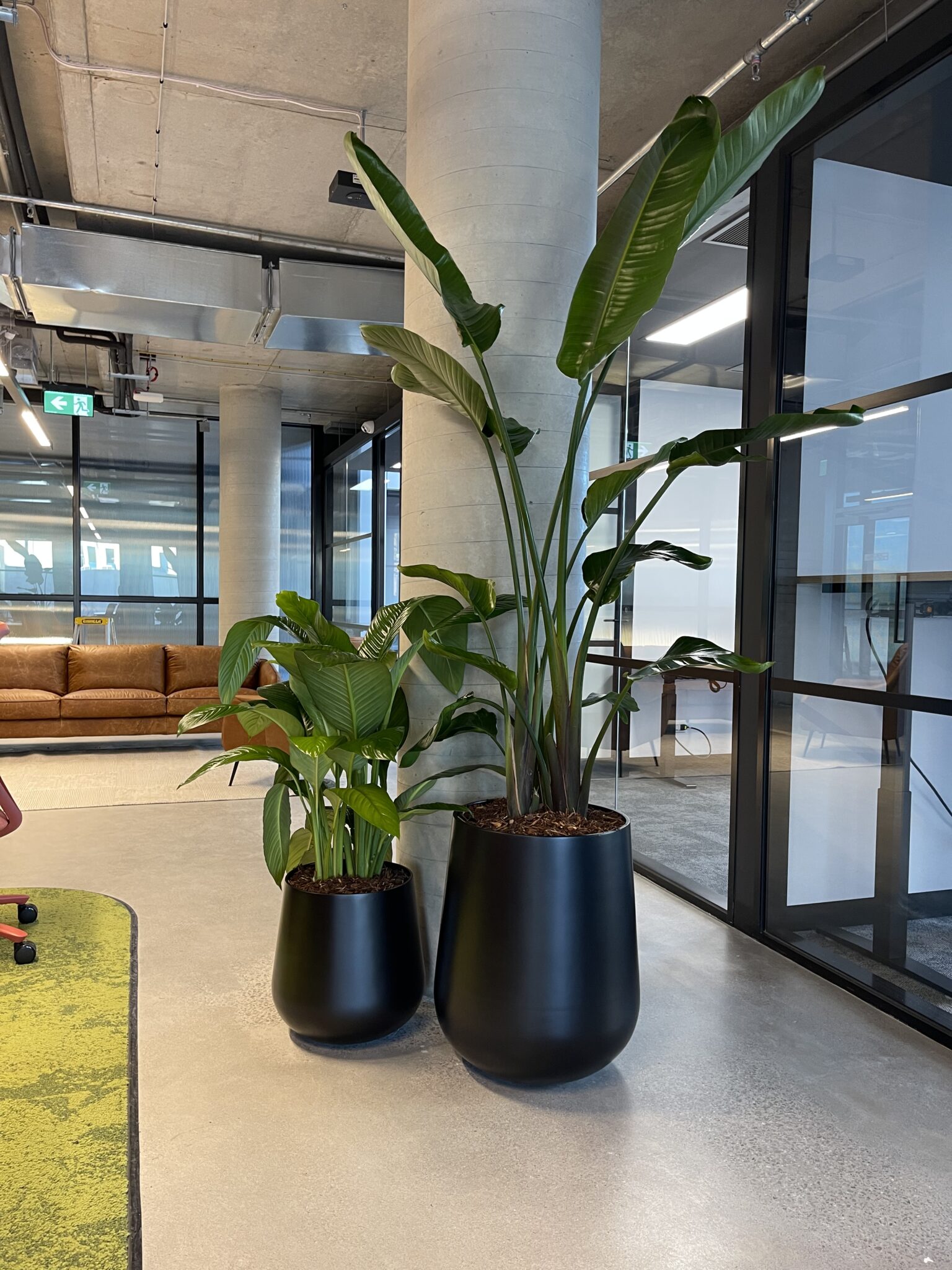 Plants at Work - Plants at Work