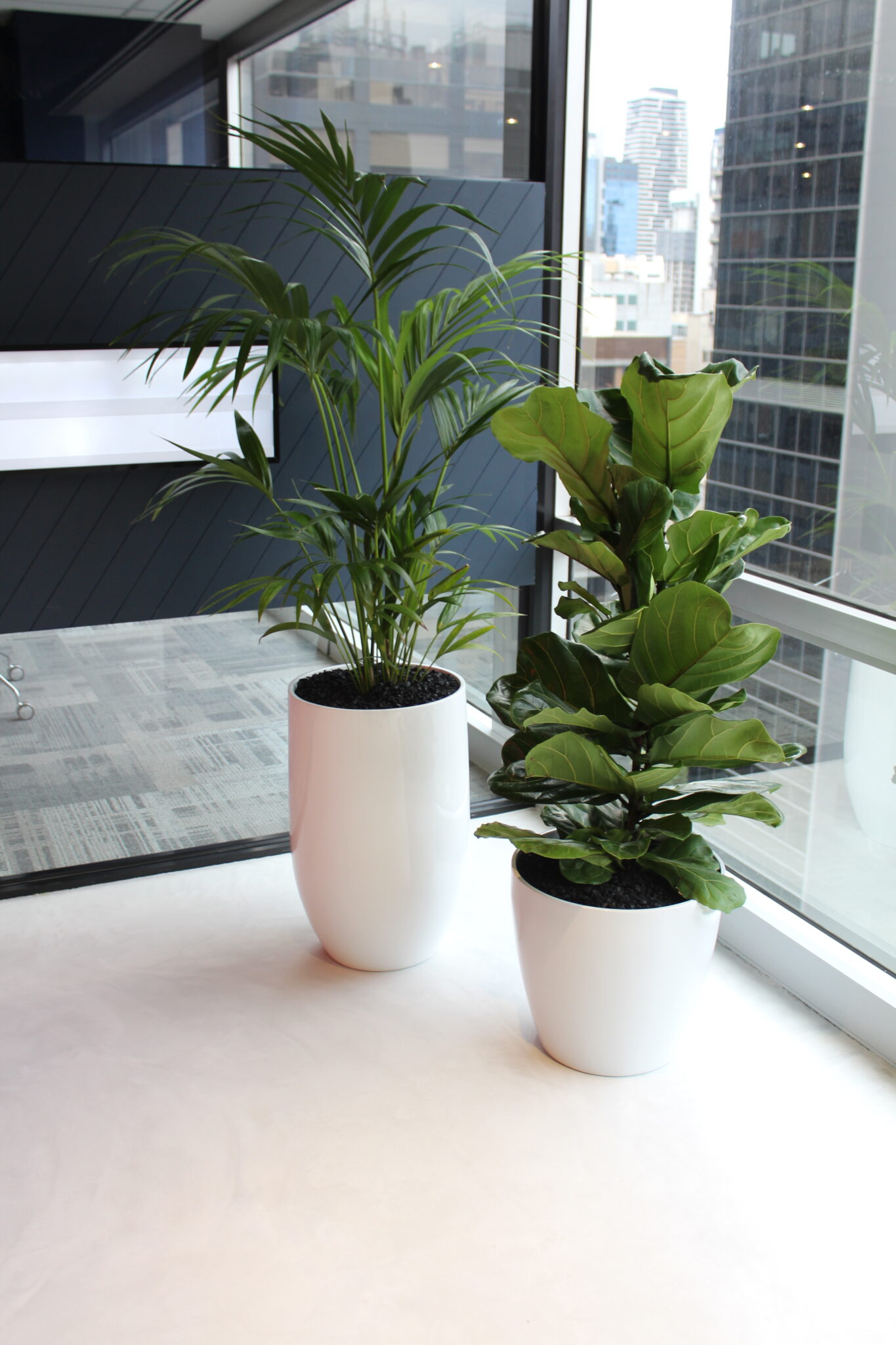 Plants at Work - Plants at Work